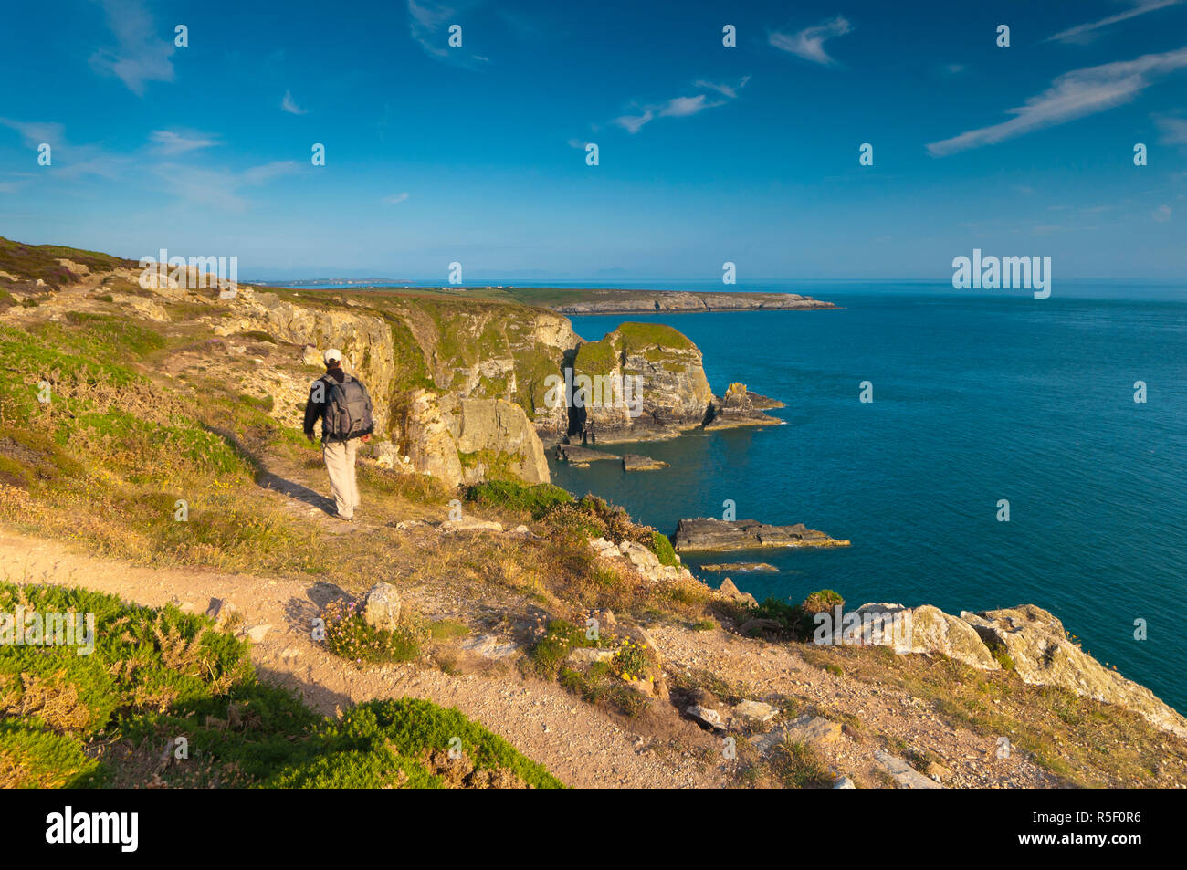 UK, Wales, Anglesey, Holy Island, near South Stack Lighthouse, Isle of ...