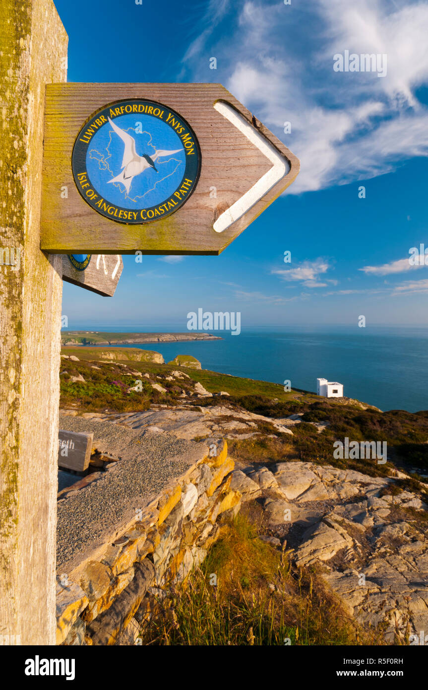 UK, Wales, Anglesey, Holy Island, near South Stack Lighthouse, Isle of ...