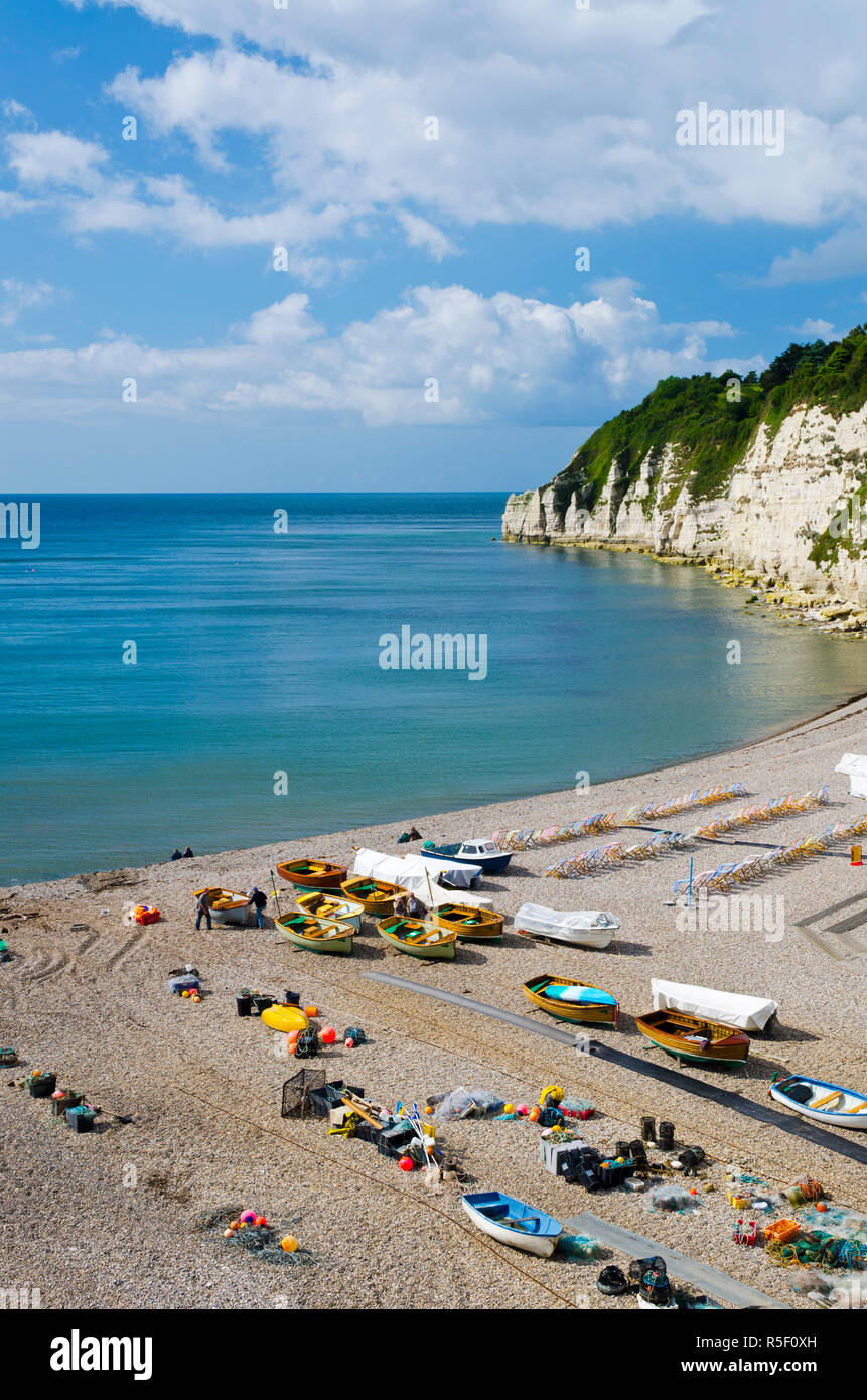 UK, England, Devon, Beer, a Gateway Town to the UNESCO World Heritage ...