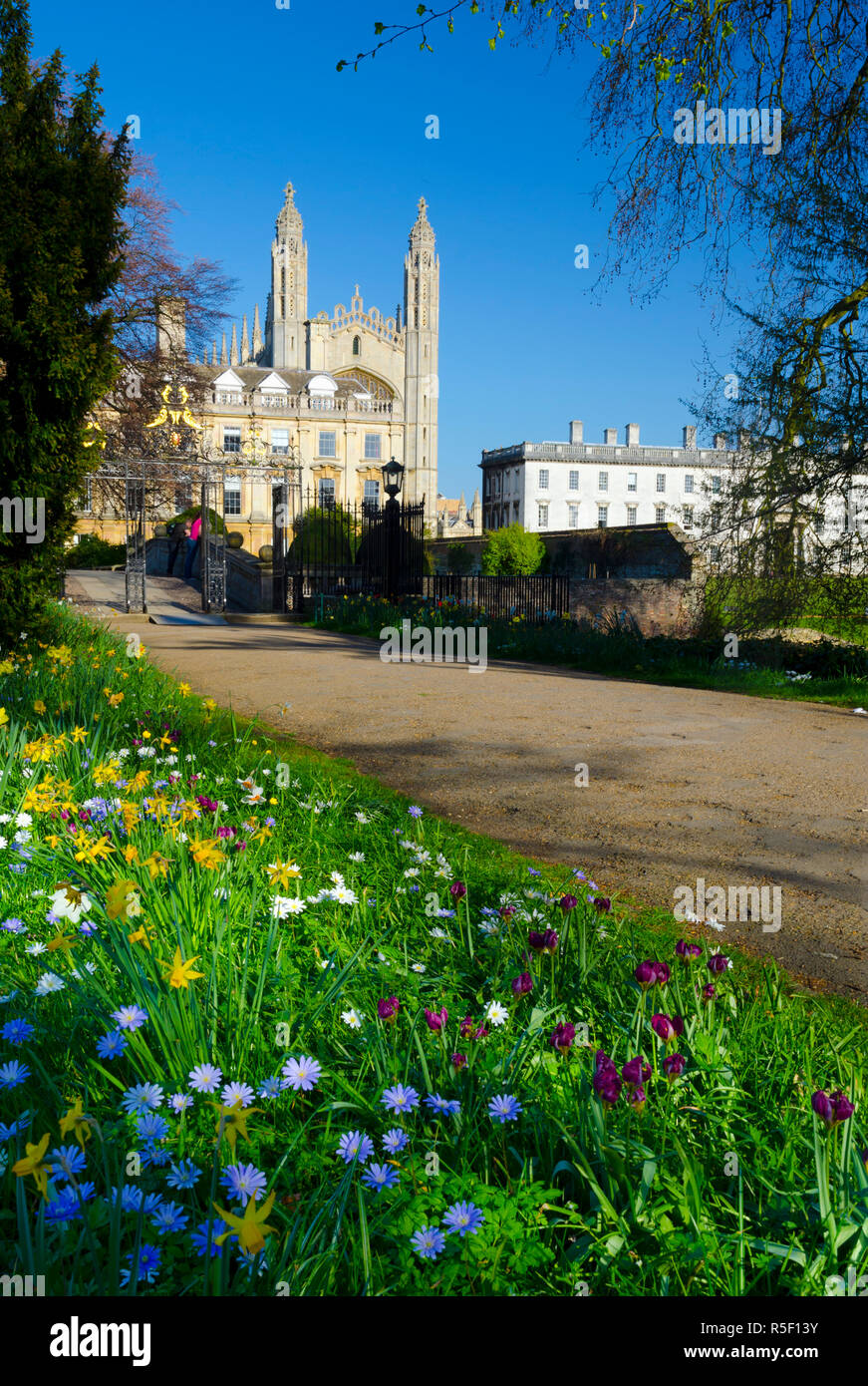 Cambridge england spring hi-res stock photography and images - Alamy
