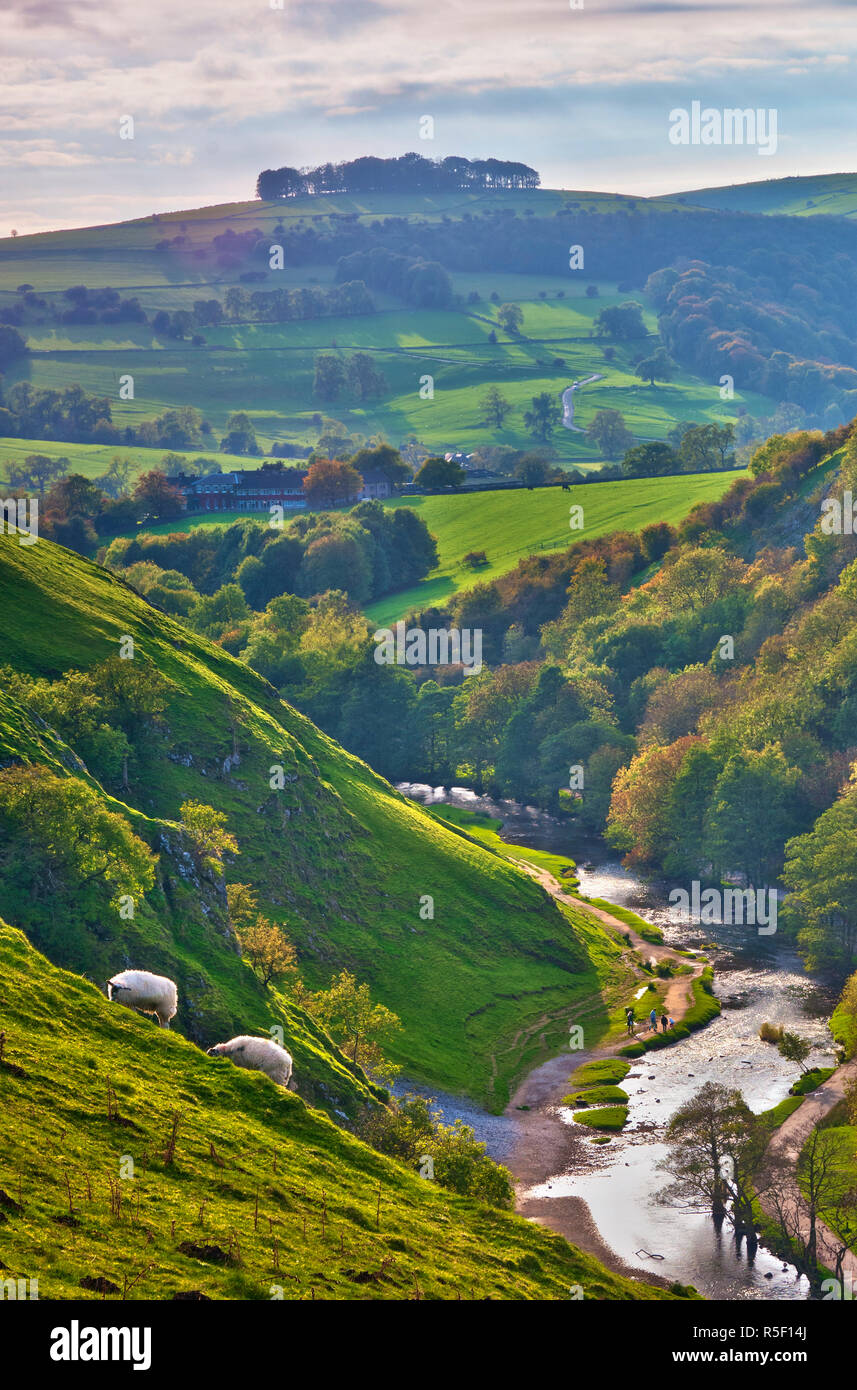UK, England, Derbyshire, Peak District National Park, Dovedale Stock ...
