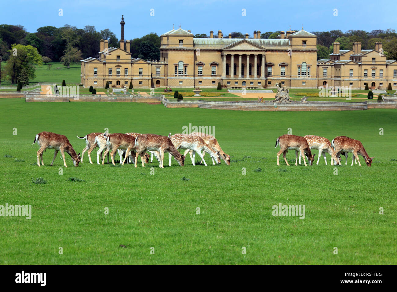 Holkham Hall, Norfolk, England, UK Stock Photo - Alamy