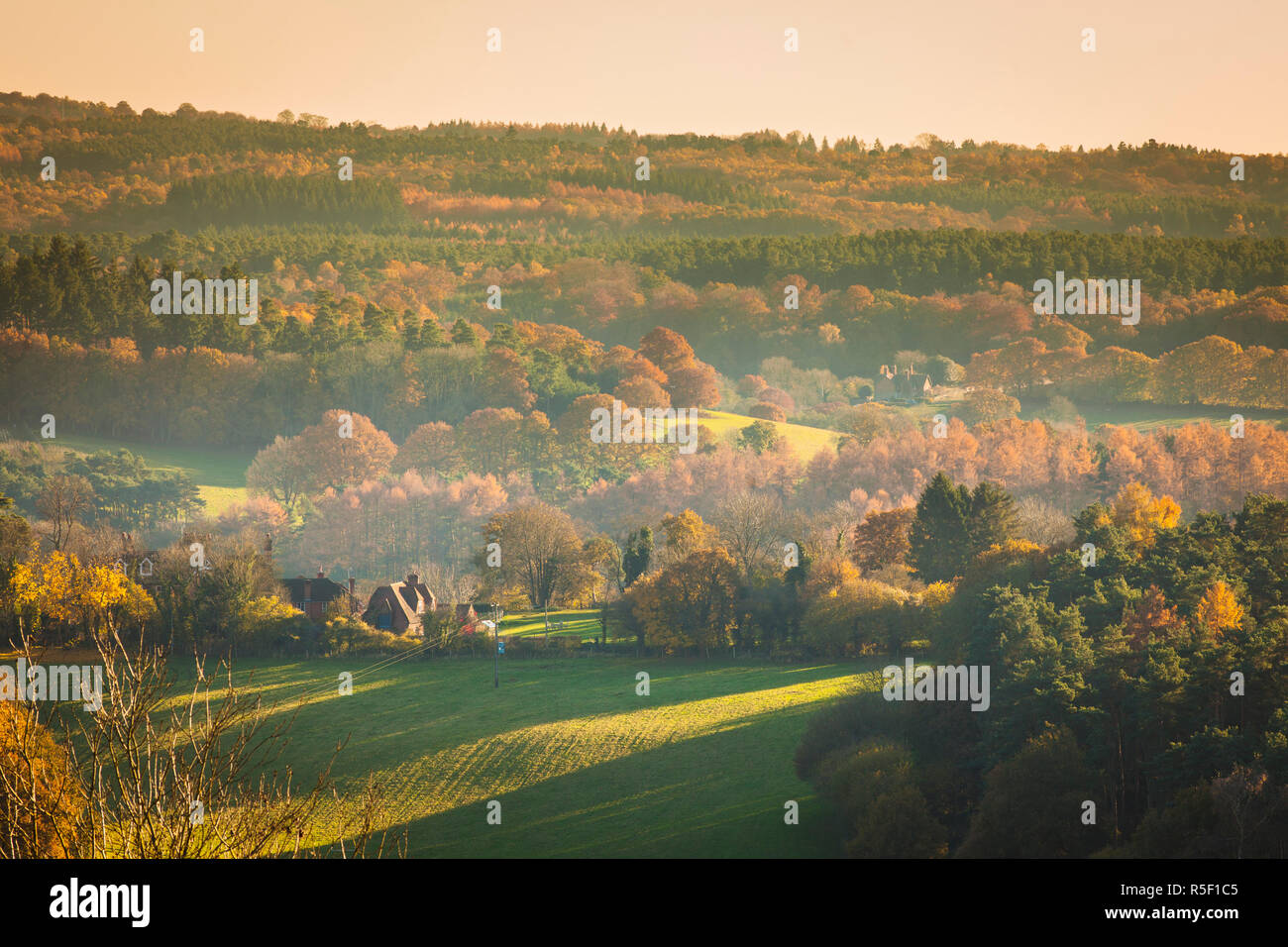 North Downs, Surrey, England, UK Stock Photo - Alamy