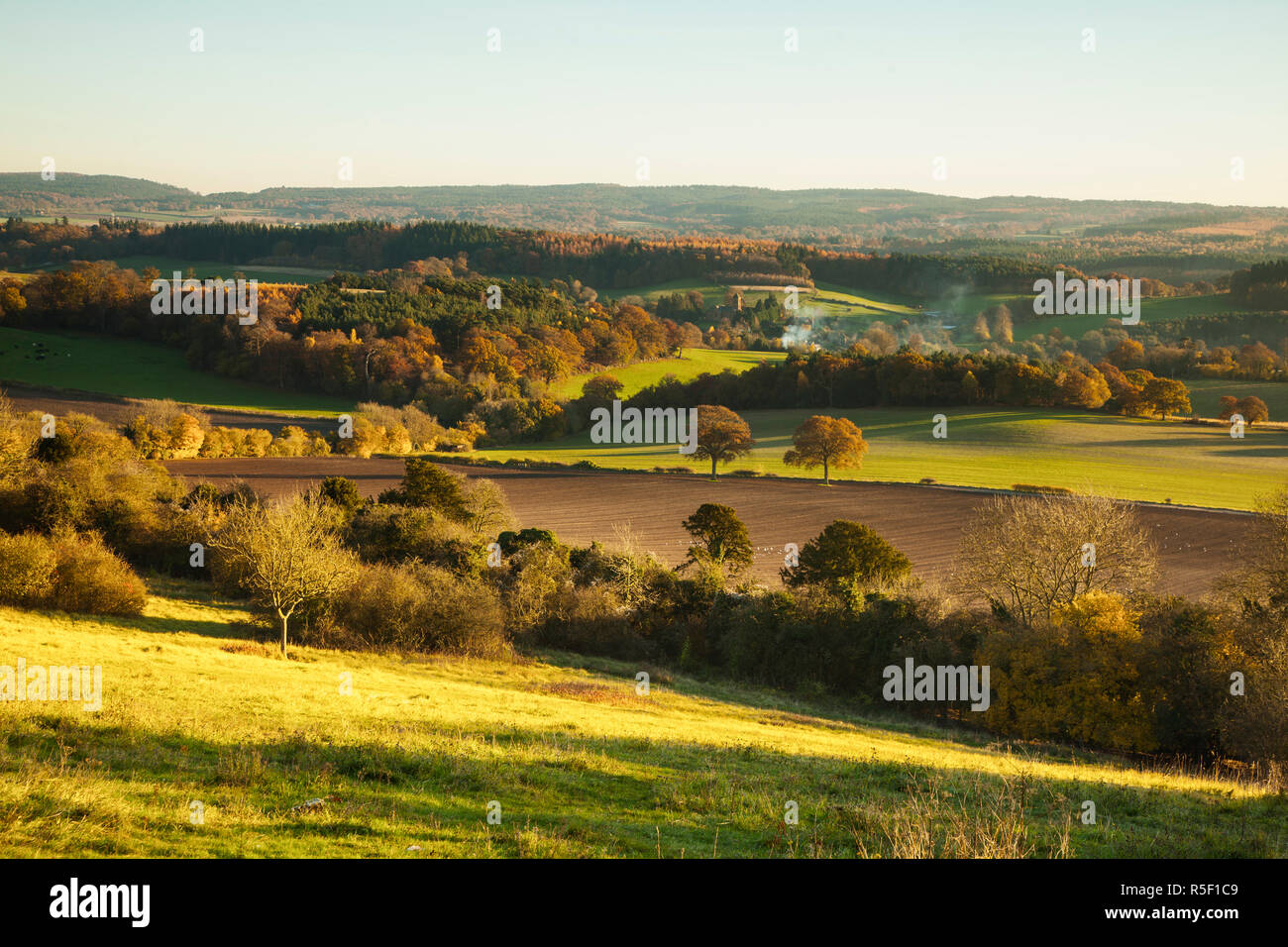 North Downs, Surrey, England, UK Stock Photo - Alamy