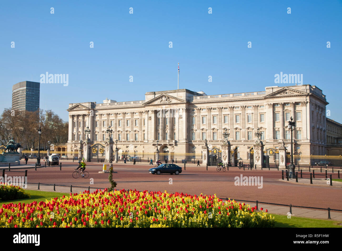United Kingdom, London, Westminster, Tulips infront of Buckingham ...