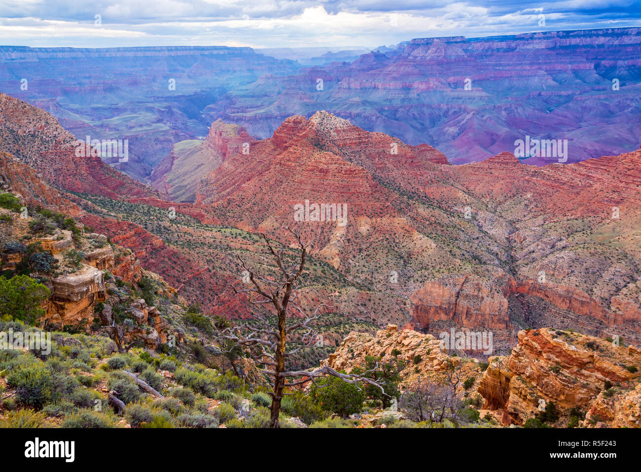 Colorful Grand Canyon View Stock Photo - Alamy