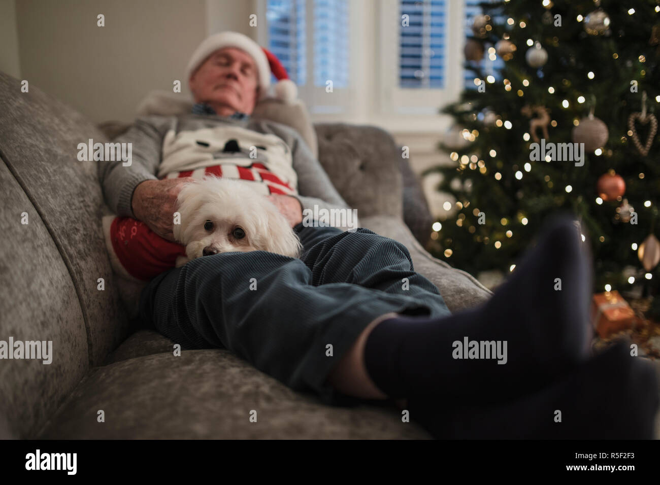 Christmas Nap With The Dog Stock Photo - Alamy