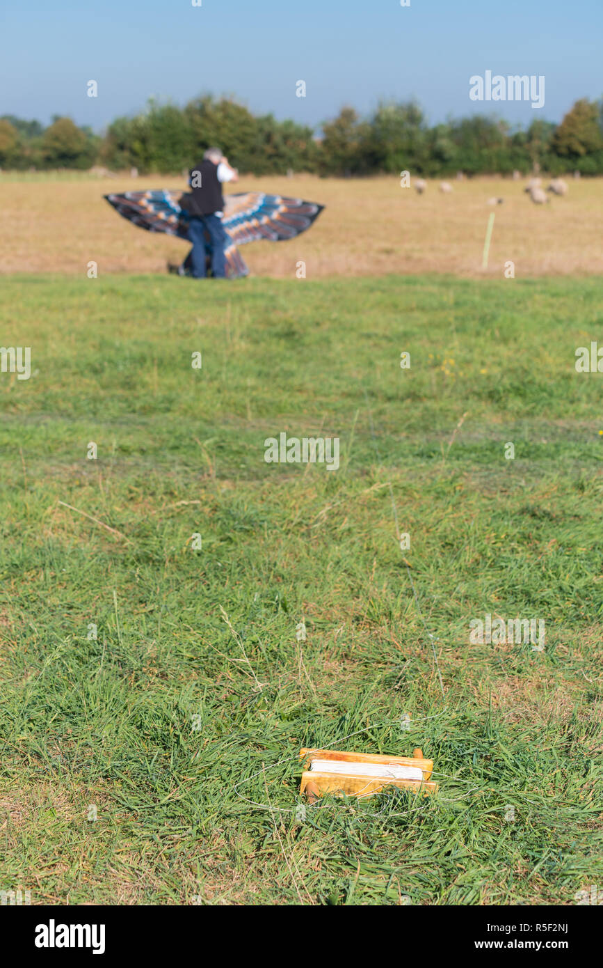 kite on a rope Stock Photo - Alamy