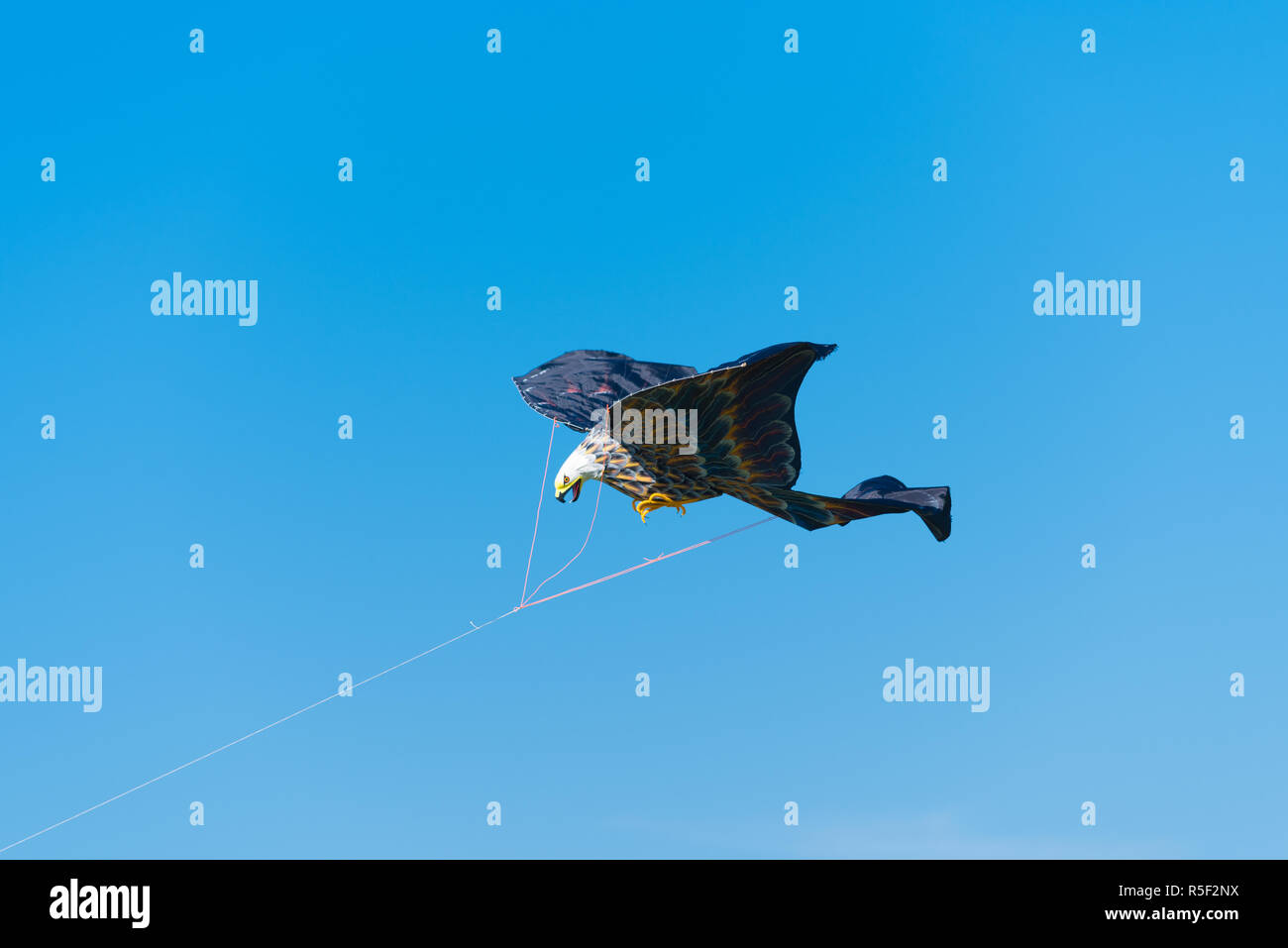 eagle shaped kite Stock Photo - Alamy