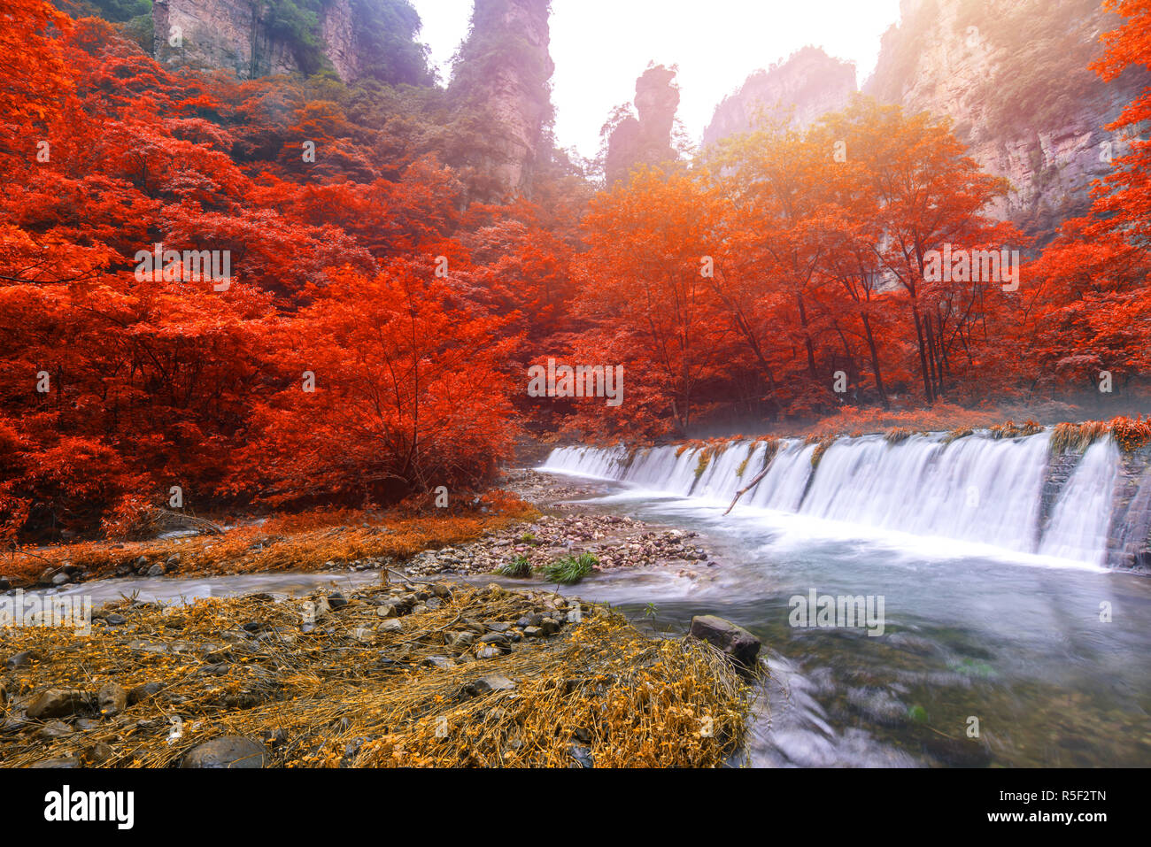Waterfall in Golden whip stream at Zhangjiajie National Forest Park ...