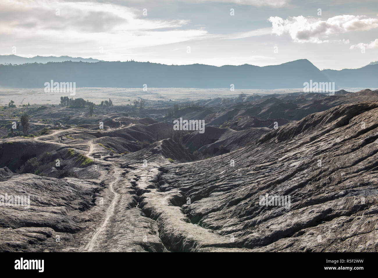 Volcanic Ash On Ground