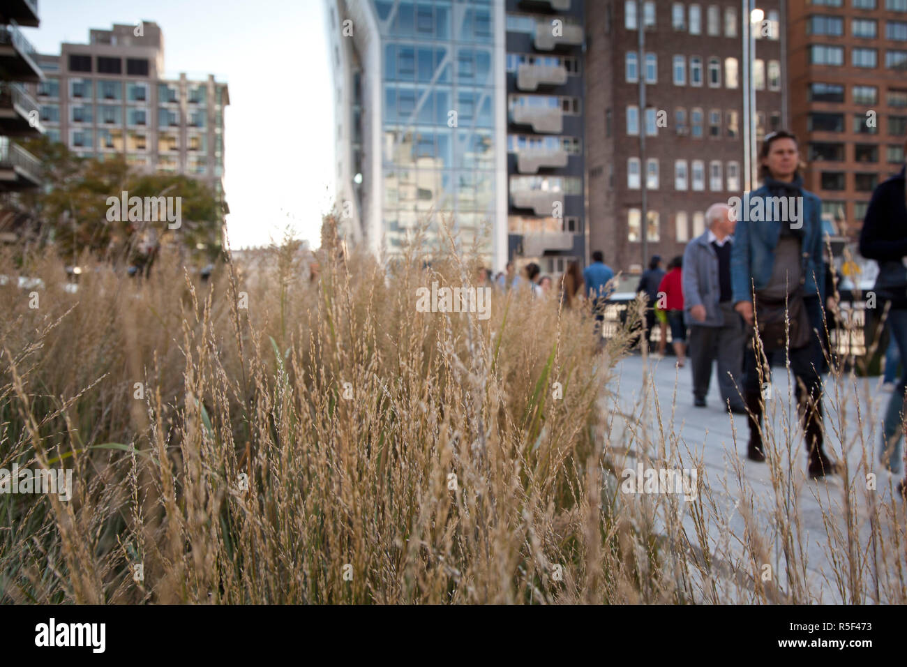 The high line chelsea hi-res stock photography and images - Alamy