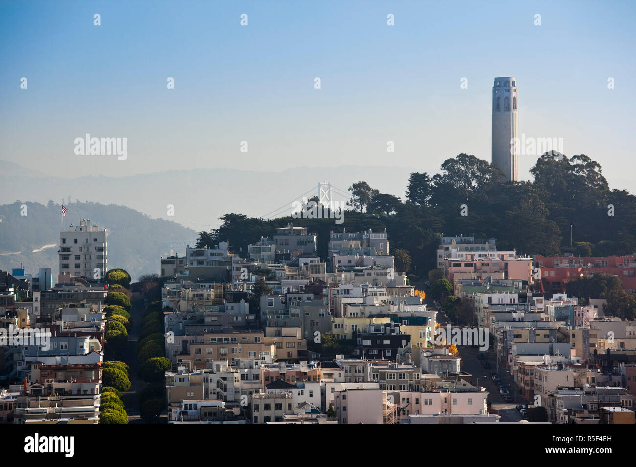 USA, California, San Francisco, Russian Hill, elevated view of North ...