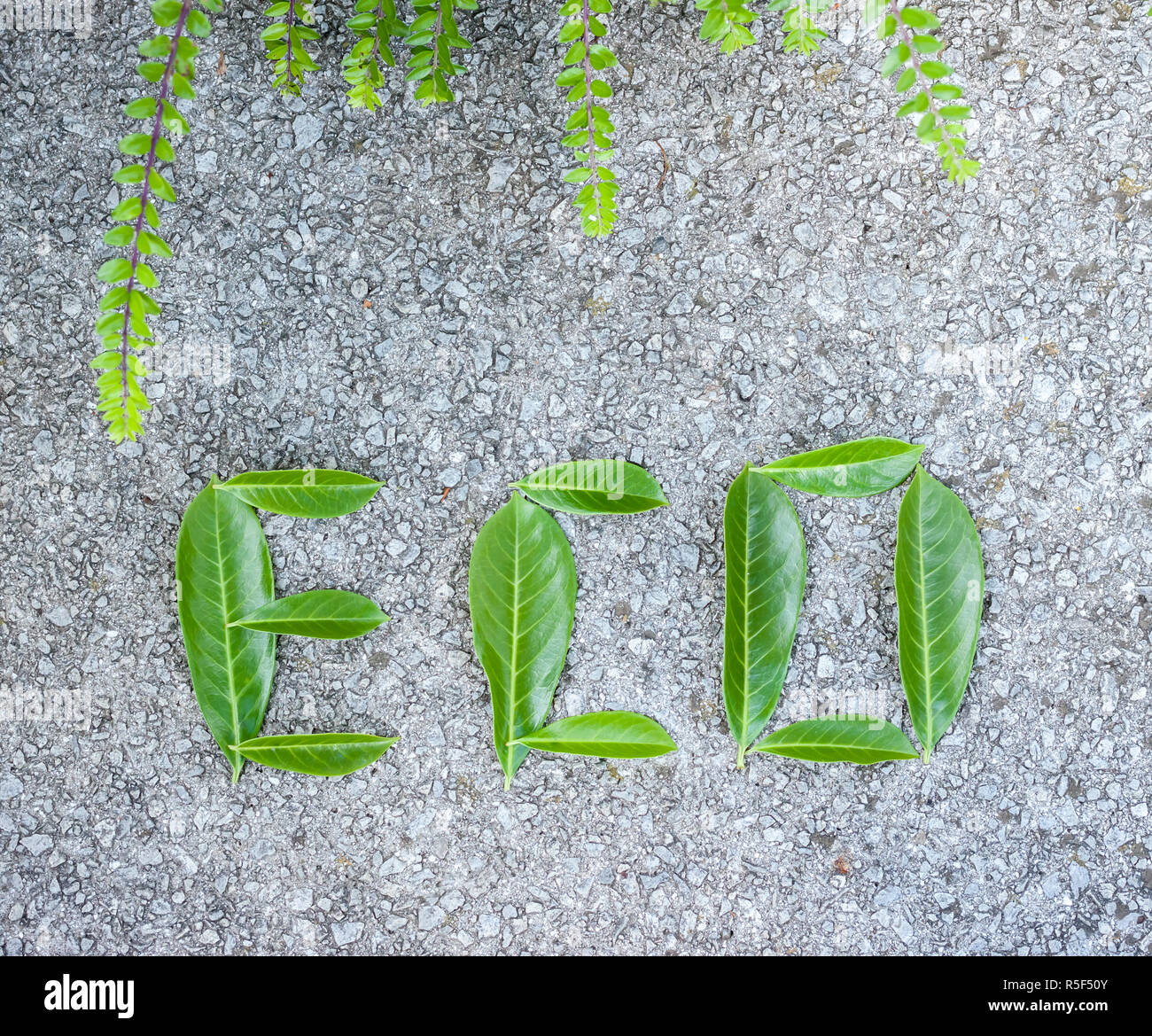 eco word composed of green leaves Stock Photo - Alamy