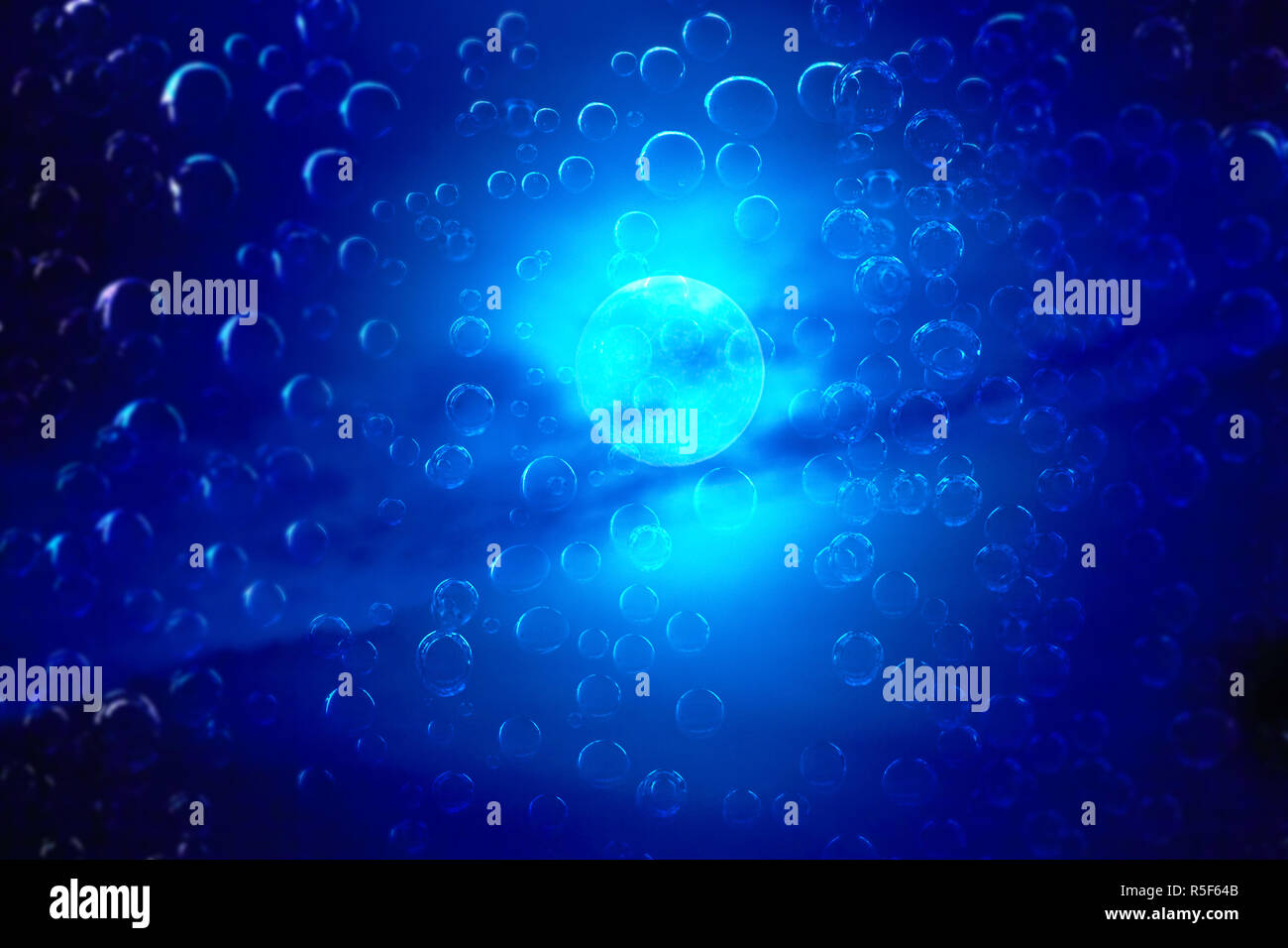 Acid flies hi-res stock photography and images - Alamy
