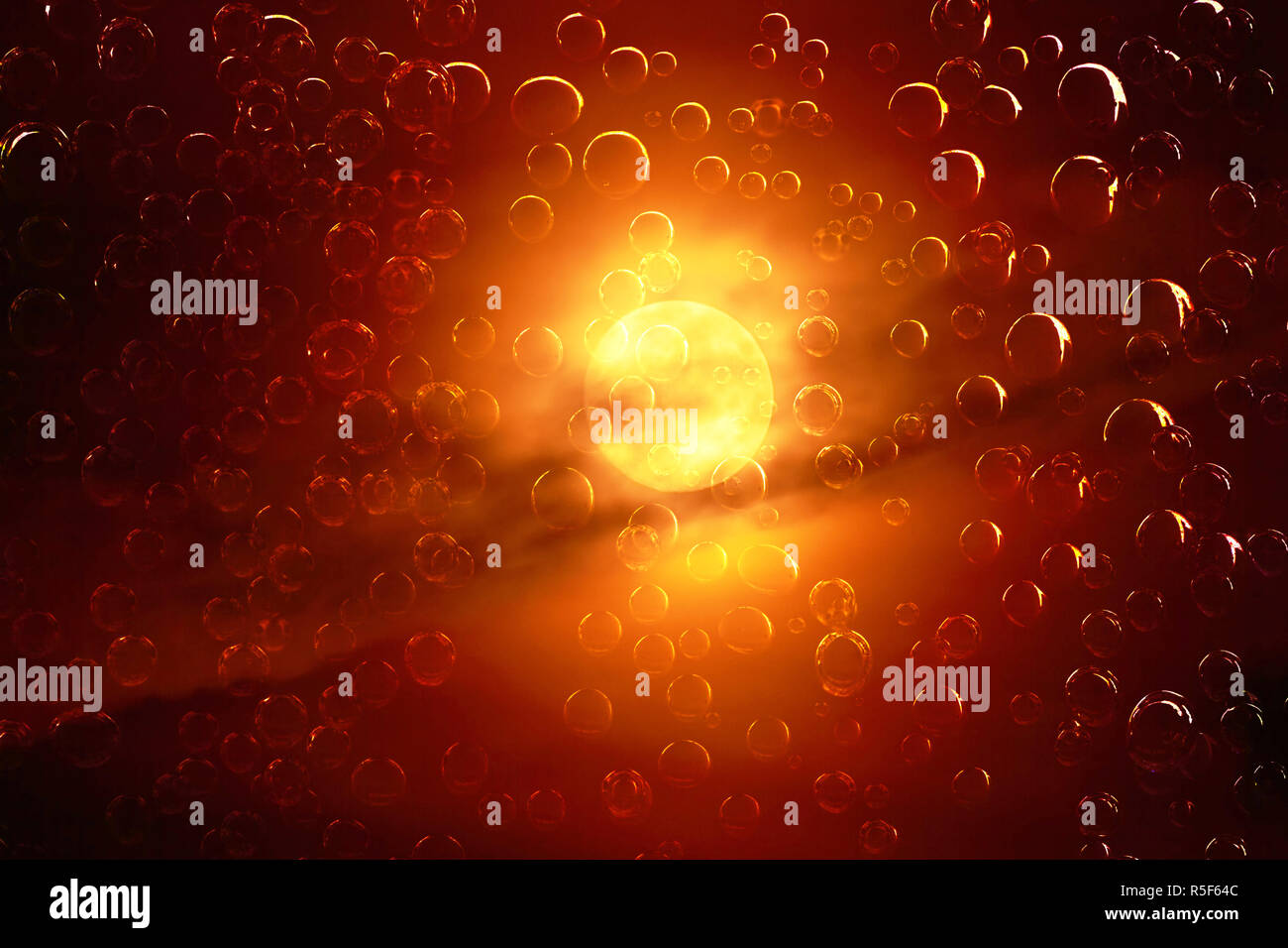 Acid flies hi-res stock photography and images - Alamy