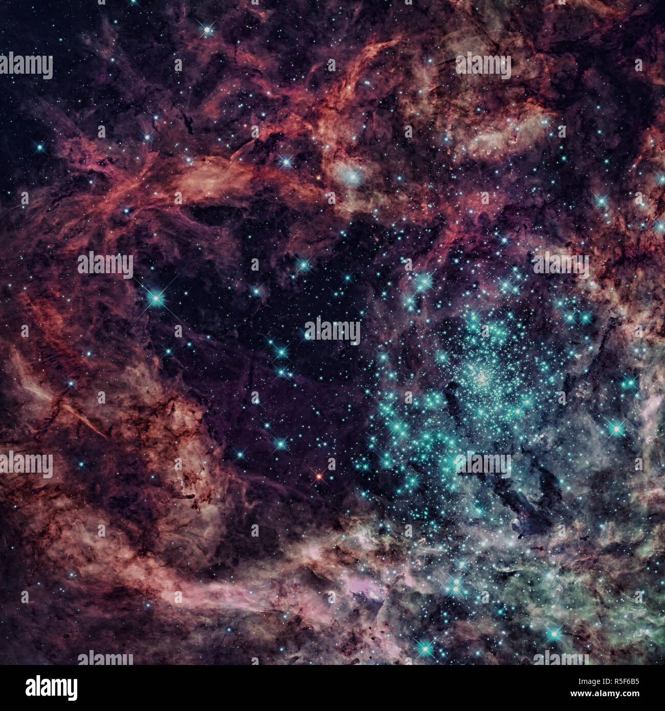 Star cluster in the Tarantula Nebula. Large Magellanic Cloud Stock ...