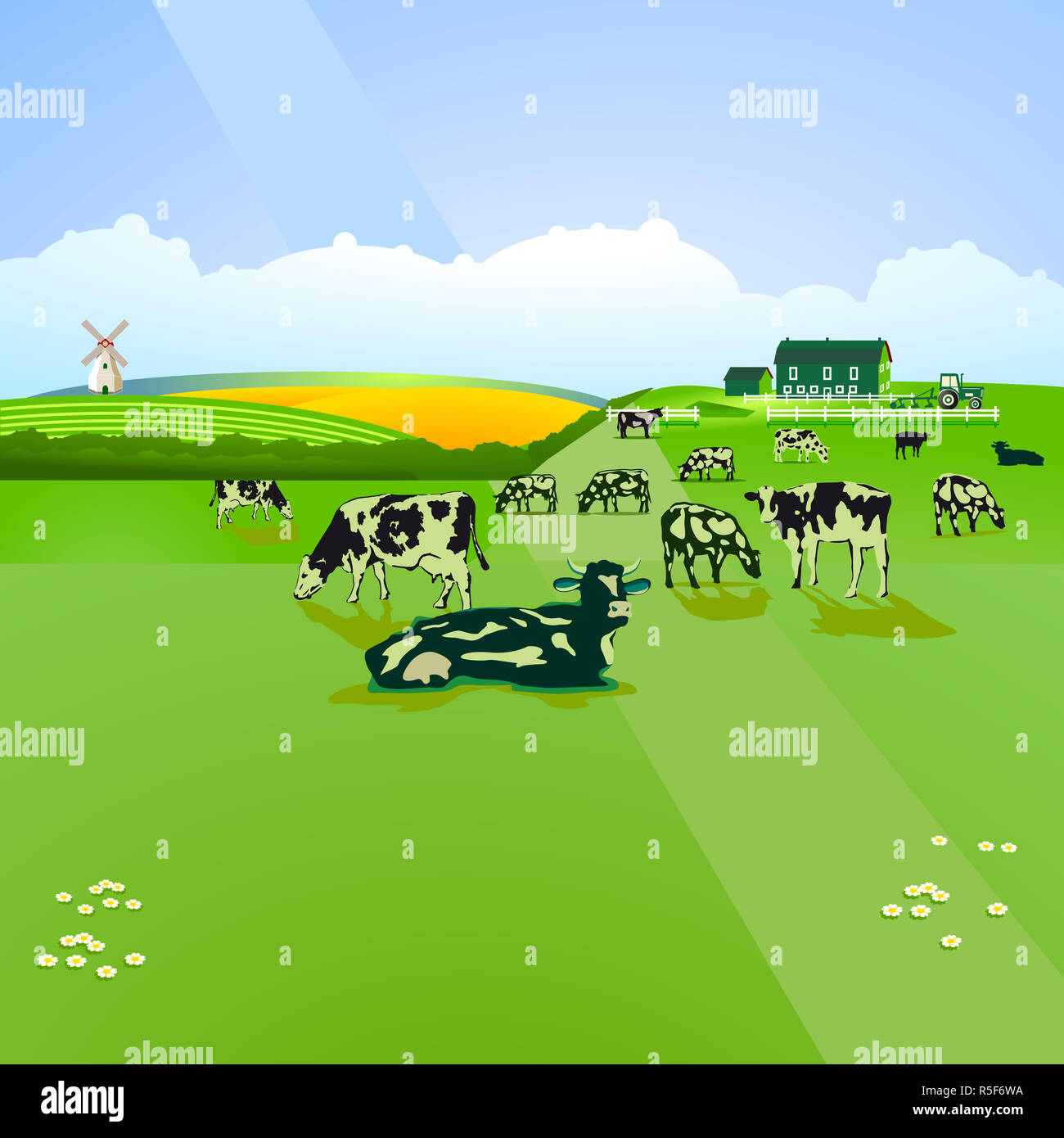 cattle on the pasture,illustration Stock Photo - Alamy