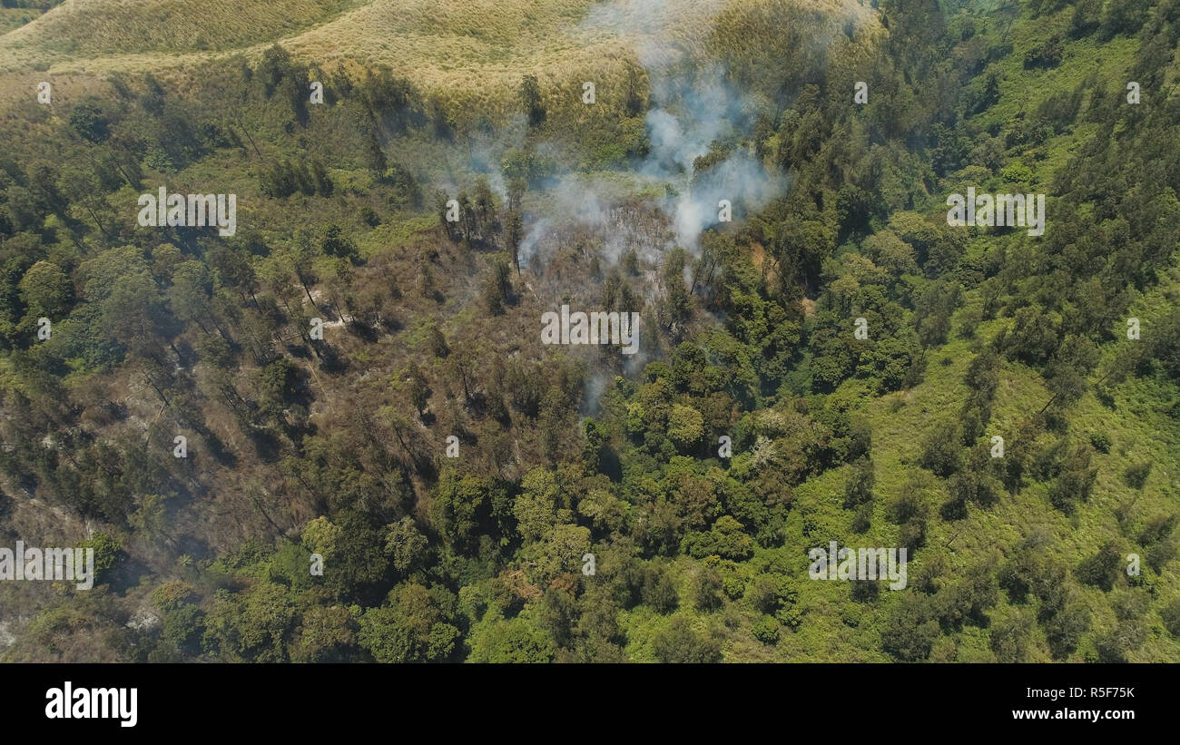 aerial view forest fire smoke on slopes hills. wild fire in tropical ...