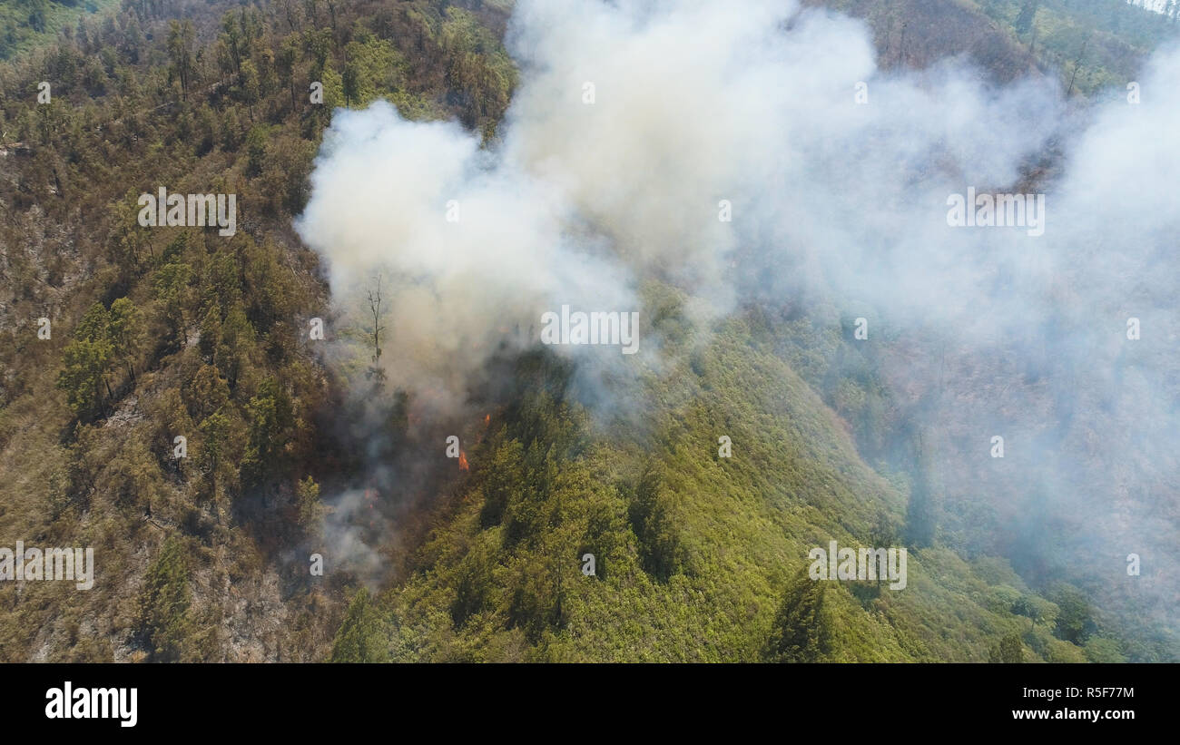 aerial view forest fire smoke on slopes hills. wild fire in tropical ...