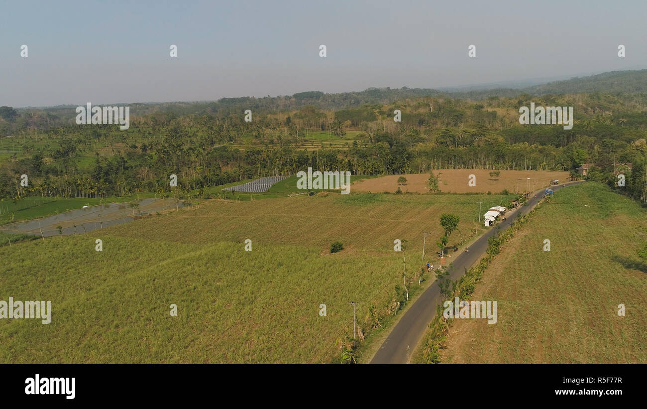 aerial view agricultural landscape in Asia with rice fields and ...