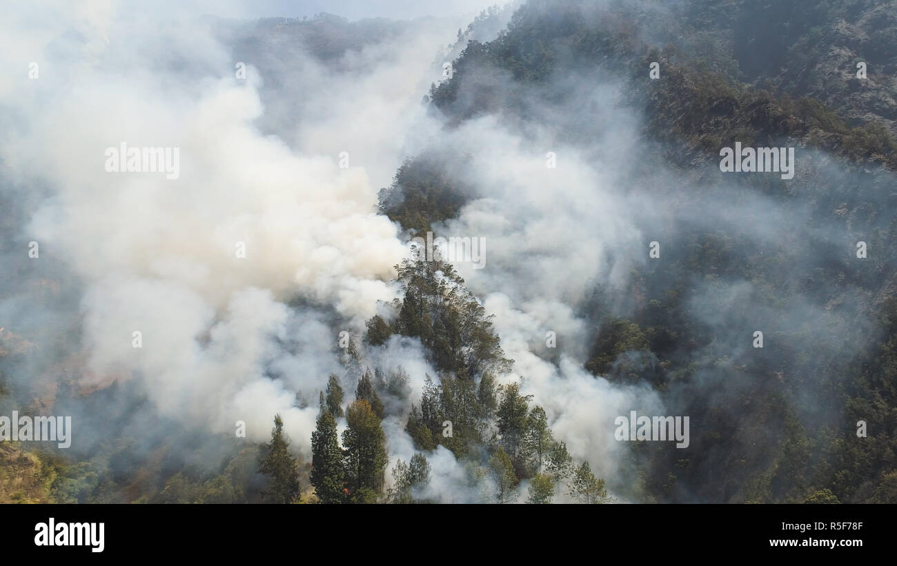 fire in mountain forest. aerial view forest fire and smoke on slopes ...