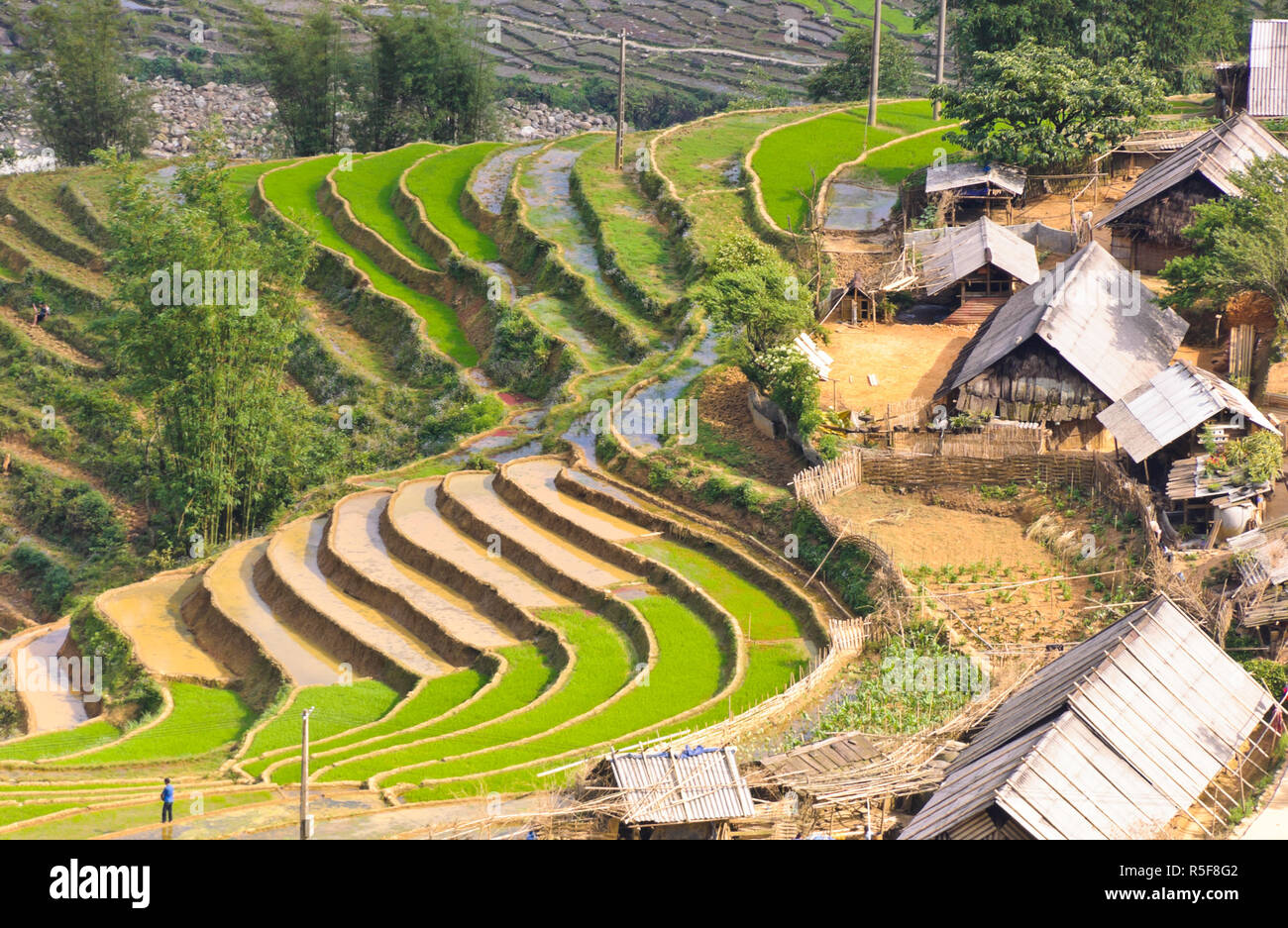 Rice terraced fields and Hmong minority village in Sapa, Vietnam Stock ...