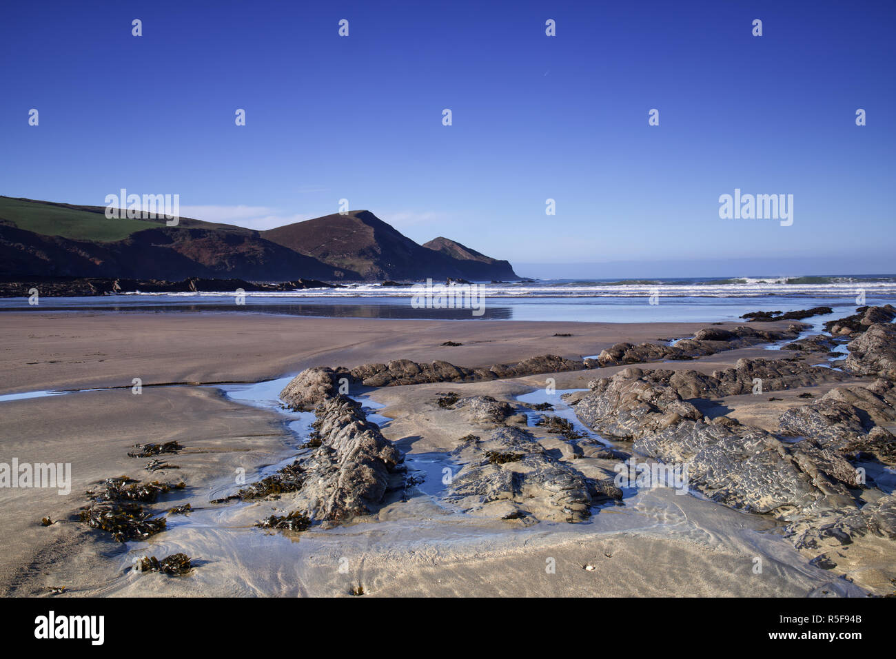 Crackington Formation, a geological feature at Crackington Haven in ...
