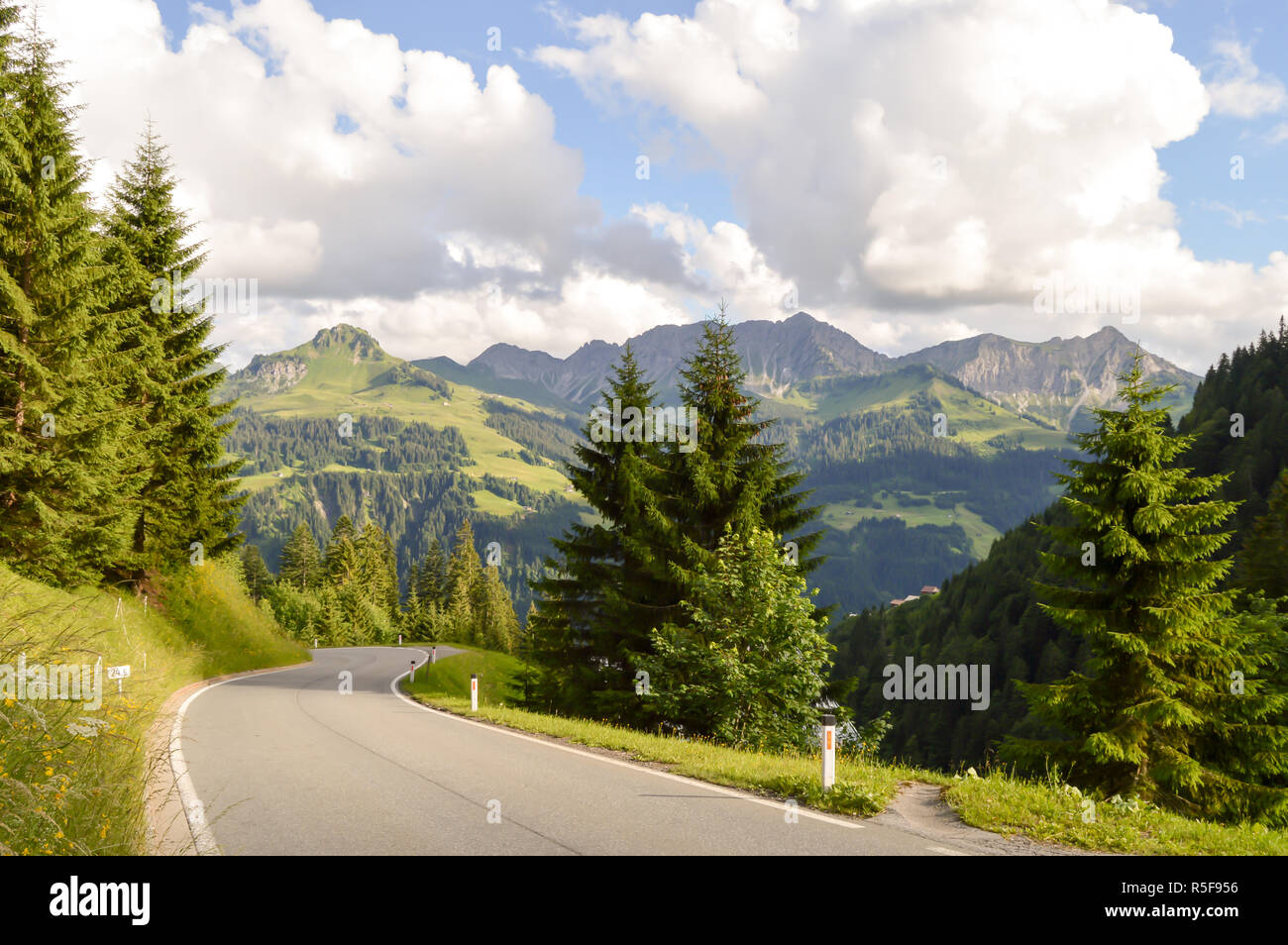Route in a wooded valley Stock Photo - Alamy