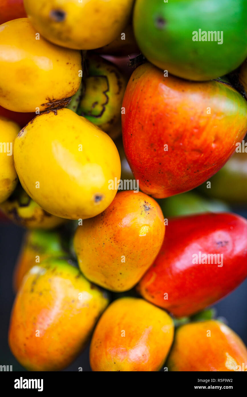 Chontaduro (Bactris gasipaes Stock Photo - Alamy