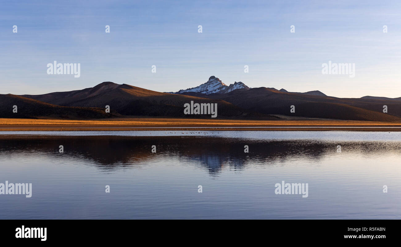 Sajama natural park hi-res stock photography and images - Alamy