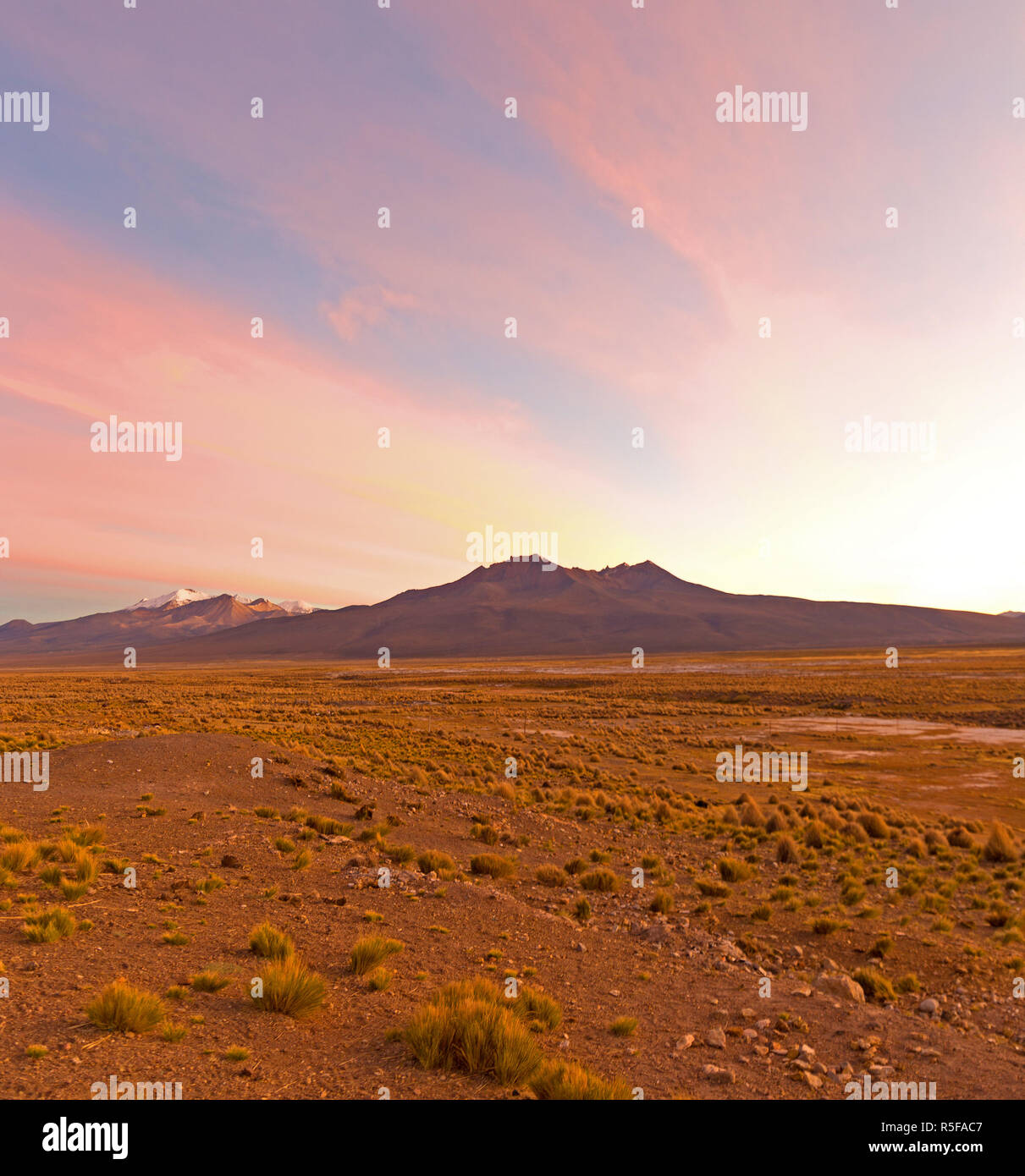 Sunset in Andes. Parinacota volcano. High Andean landscape in the Andes ...