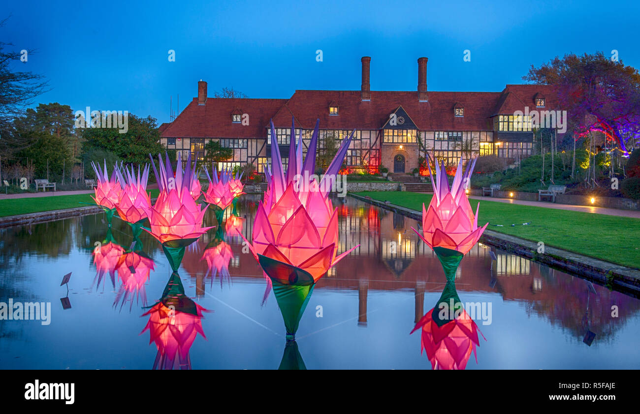 RHS Wisley, Surrey, UK. 30 November, 2018. Spectacular botanically ...