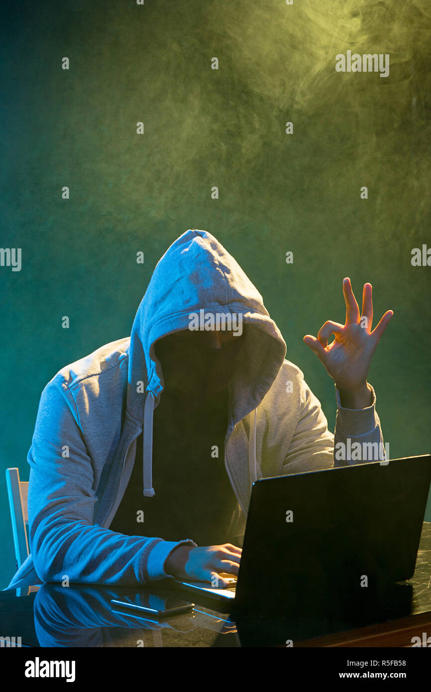 Hooded computer hacker stealing information with laptop Stock Photo - Alamy