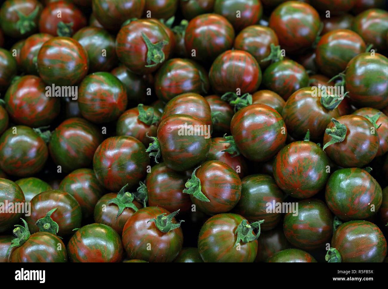 Green Kumato cherry tomatoes background pattern Stock Photo - Alamy