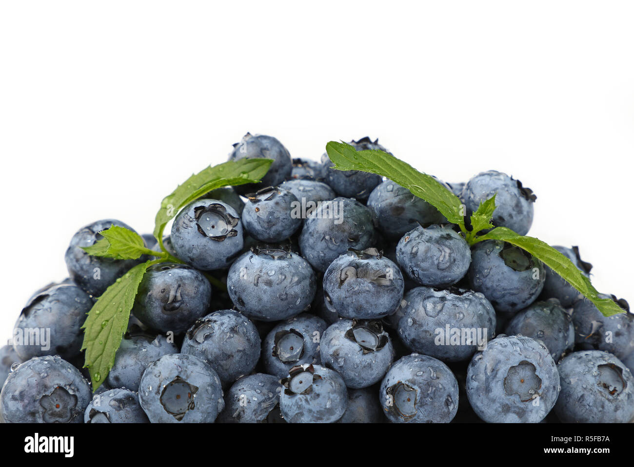 Fresh washed blueberries and mint leaves on white Stock Photo - Alamy