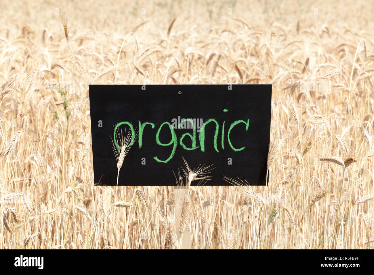 Gmo organic farming agricultural hi-res stock photography and images ...