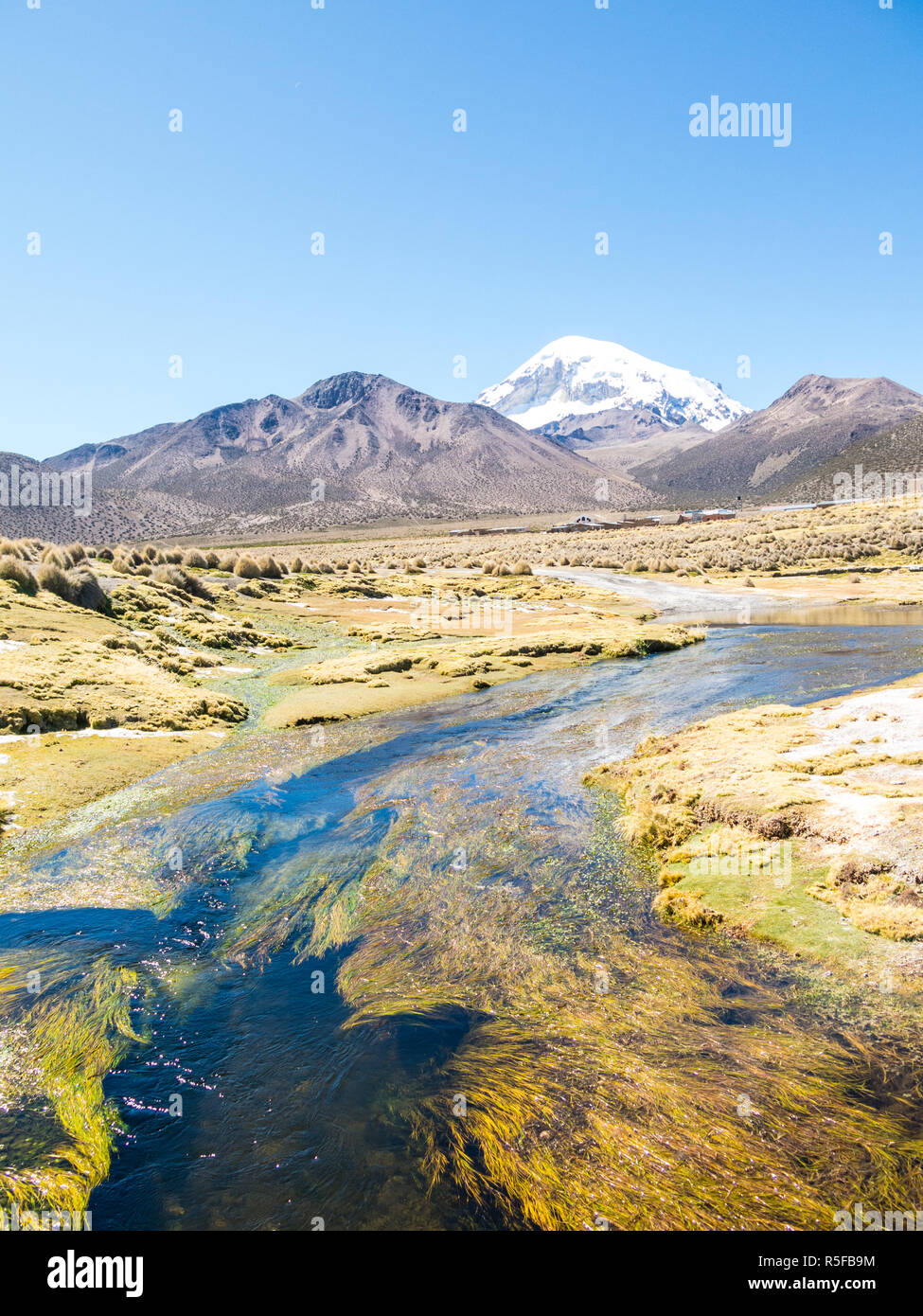 High Andean tundra landscape in the mountains of the Andes. The weather ...