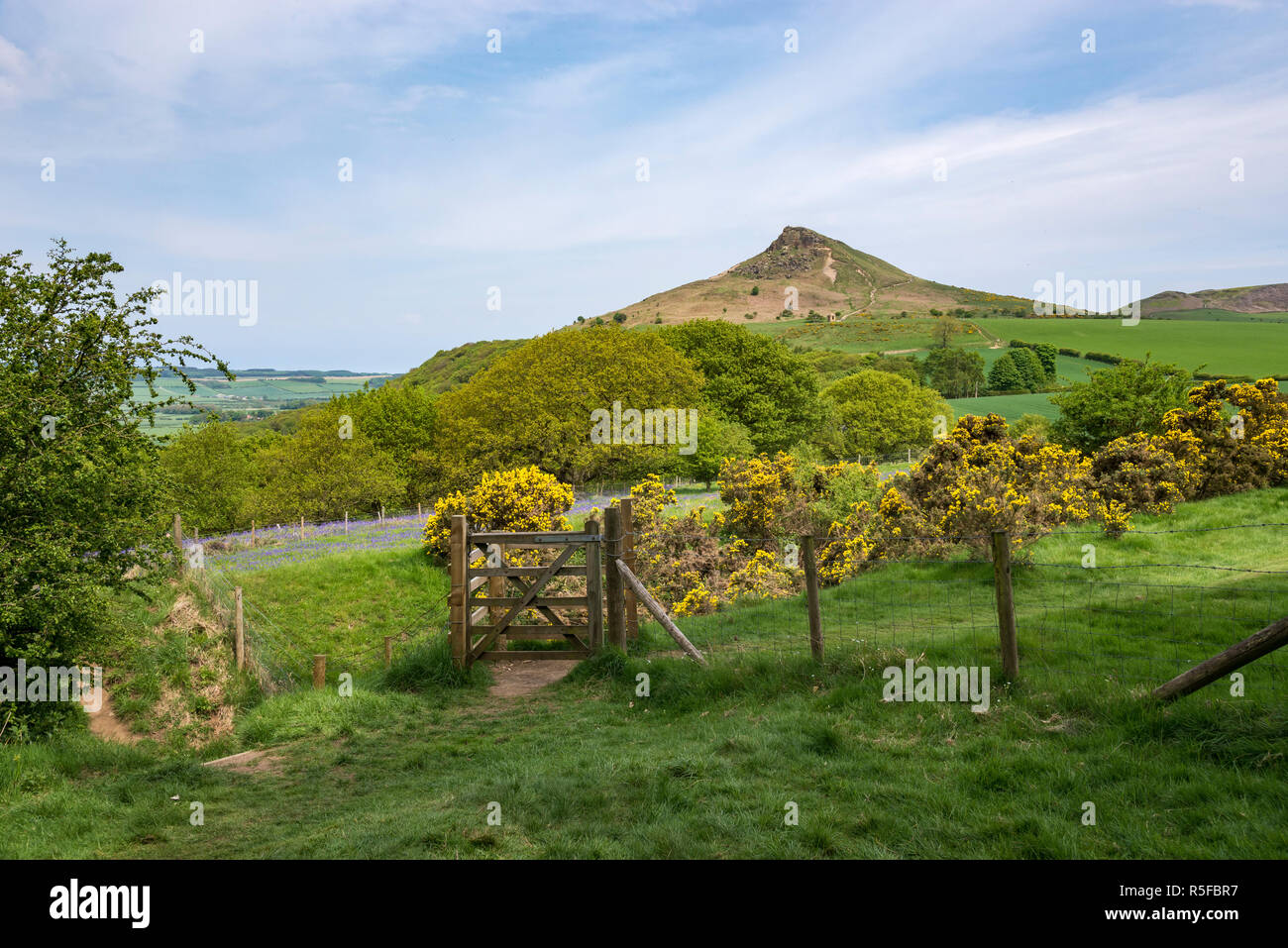 Roseberry Topping in spring, North York Moors national park, England ...