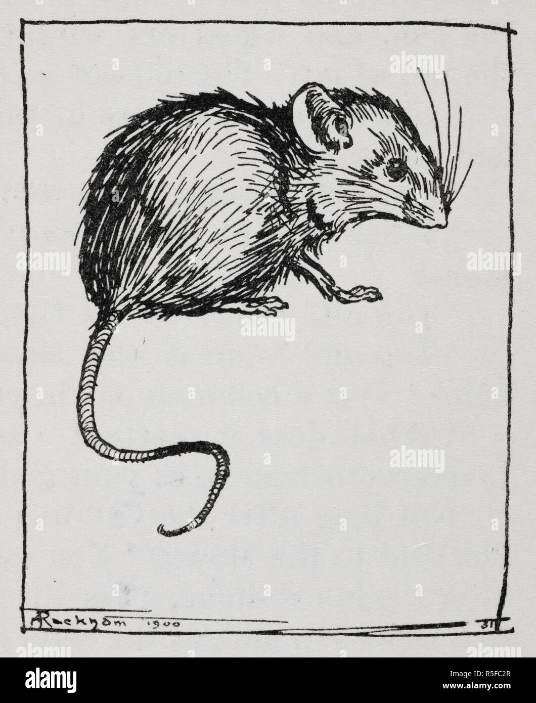 Arthur grimm hi-res stock photography and images - Alamy
