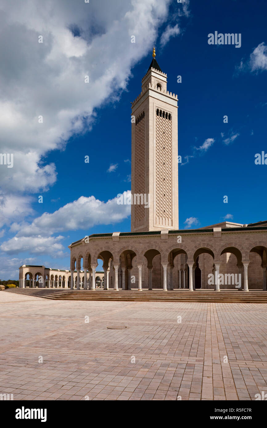 Tunis carthage hi-res stock photography and images - Alamy