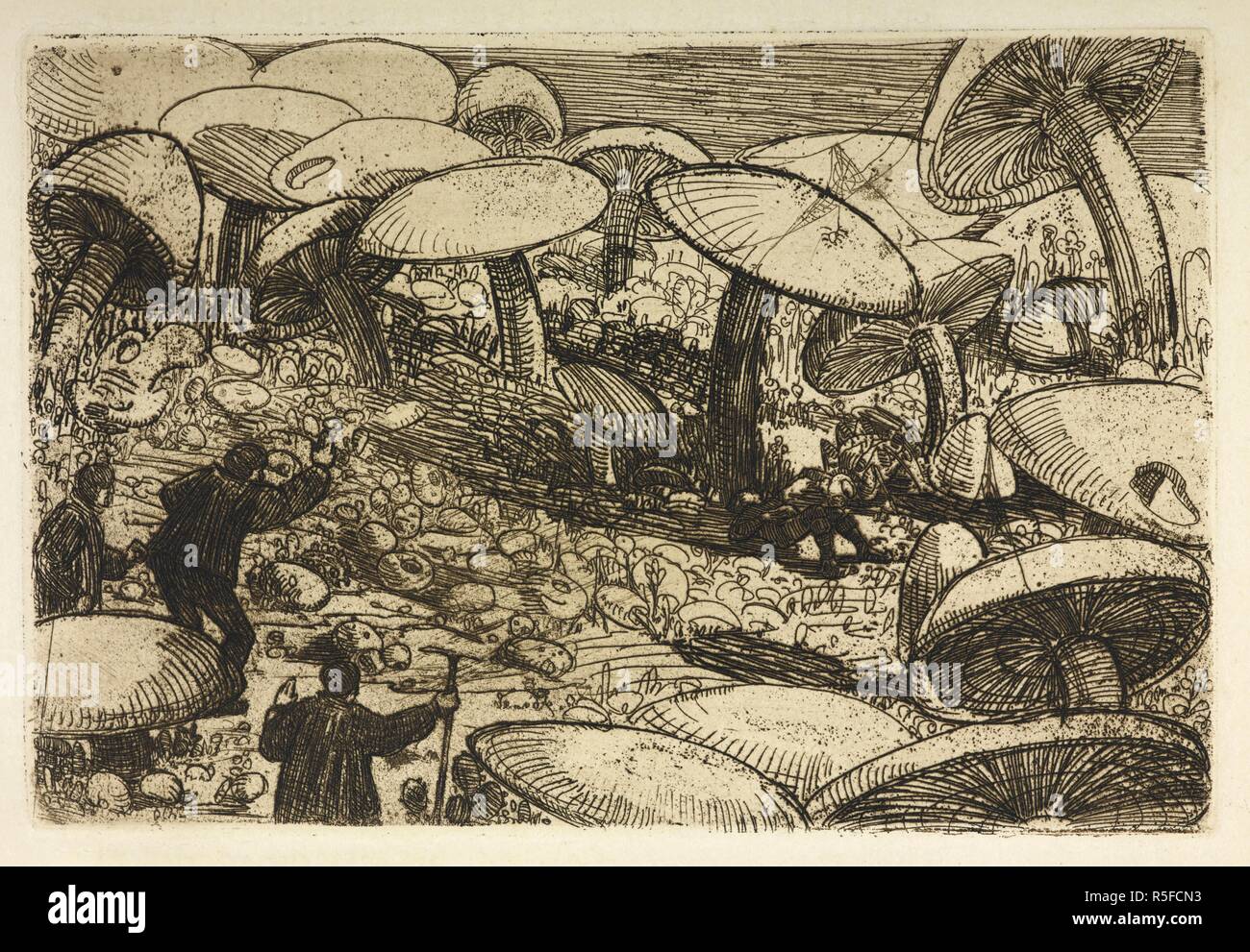 Giant toadstools. The Antarctic book. Winter quarters, 1907-1909 ...