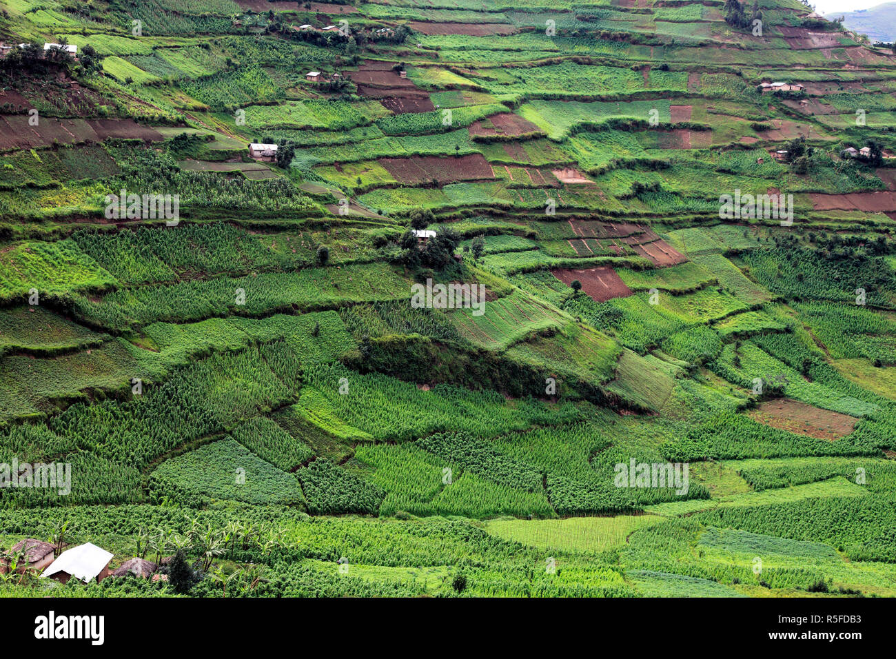 Landscape, near Kisoro, Uganda Stock Photo - Alamy