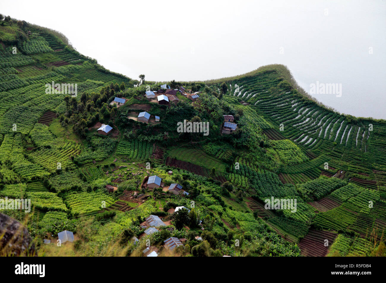 Lake Mburo National park, Uganda, East Africa Stock Photo - Alamy