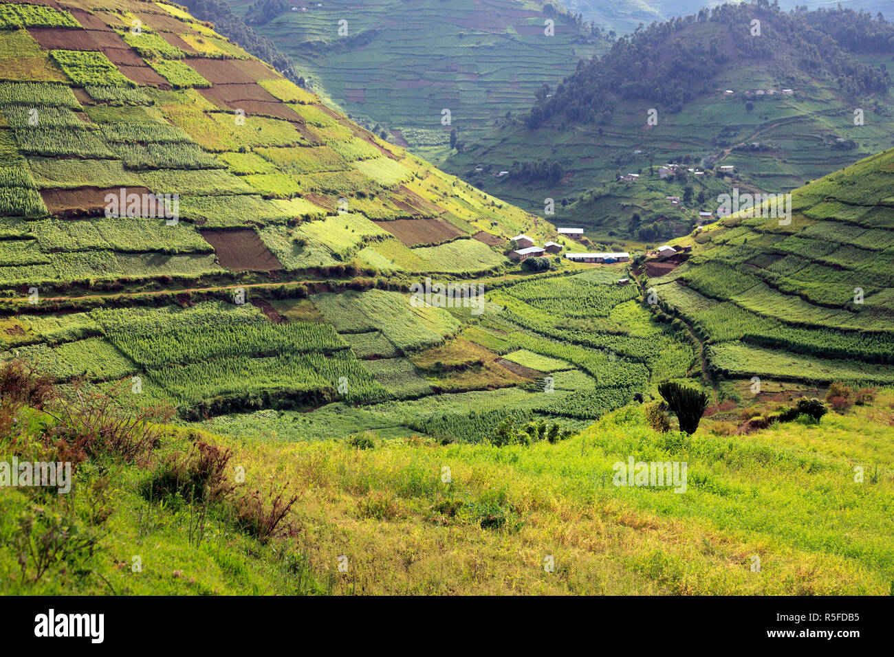 Landscape, near Kisoro, Uganda Stock Photo - Alamy