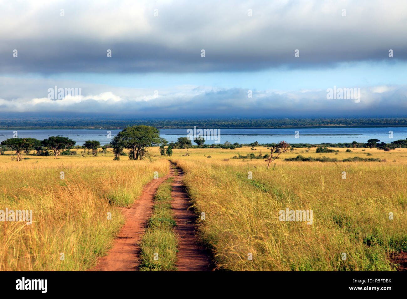 Landscape, Murchison Falls national park, Uganda, East Africa Stock ...