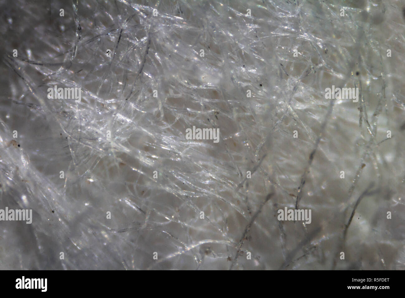 Woven fabric detail microscope hi-res stock photography and images - Alamy