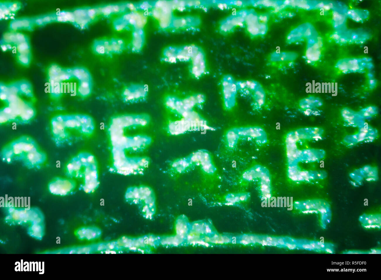 Embedded letters on israeli money bill of 50 shekel under the ...