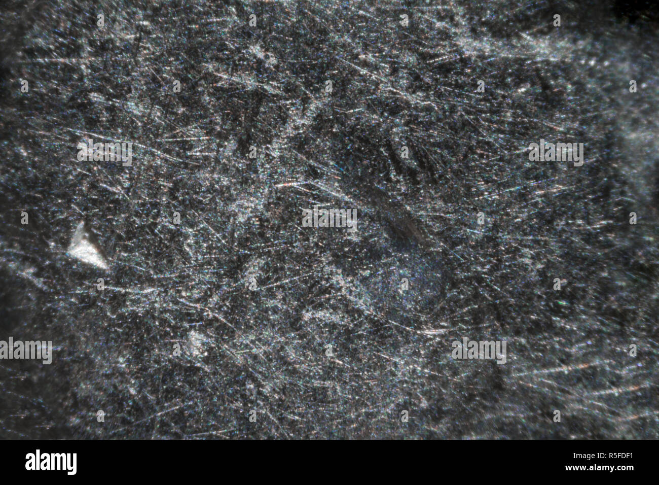 Israeli 1 Shekel coin under the microscope Stock Photo - Alamy