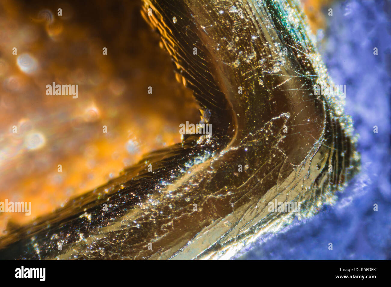 Plastic under microscope hi-res stock photography and images - Alamy